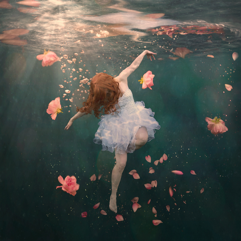Rosewater | Graphic Art News